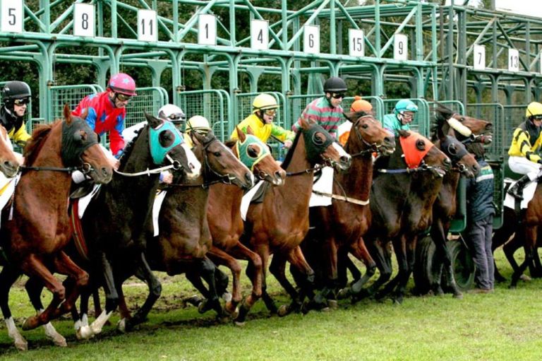 Pronostici di Pisa galoppo | Ippodromo San Rossore | Corse di giovedì ...