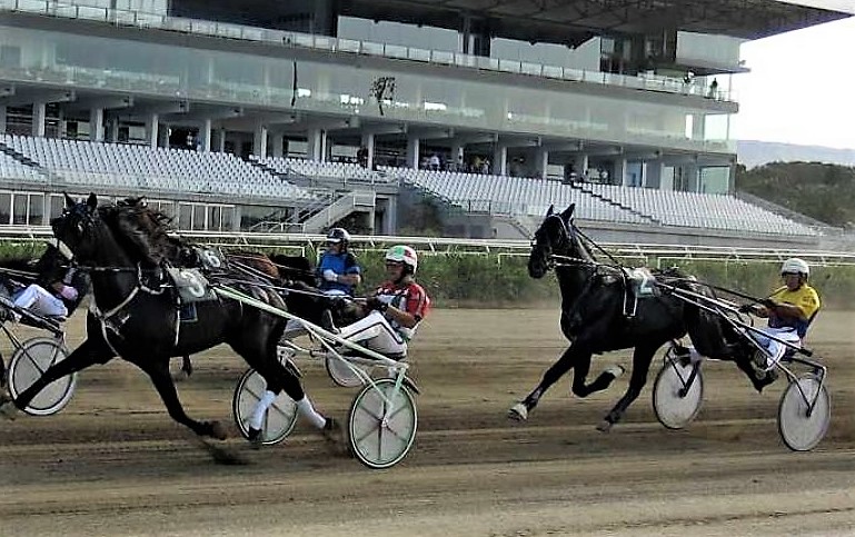 Pronostici di Siracusa trotto | Ippodromo Mediterraneo | Mercoledì 24 ...