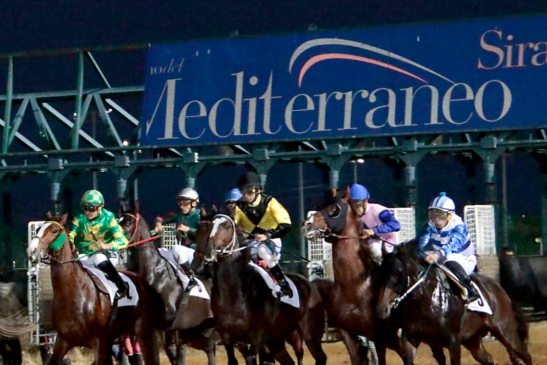 Pronostici di Siracusa galoppo | Ippodromo Mediterraneo | Corse di ...