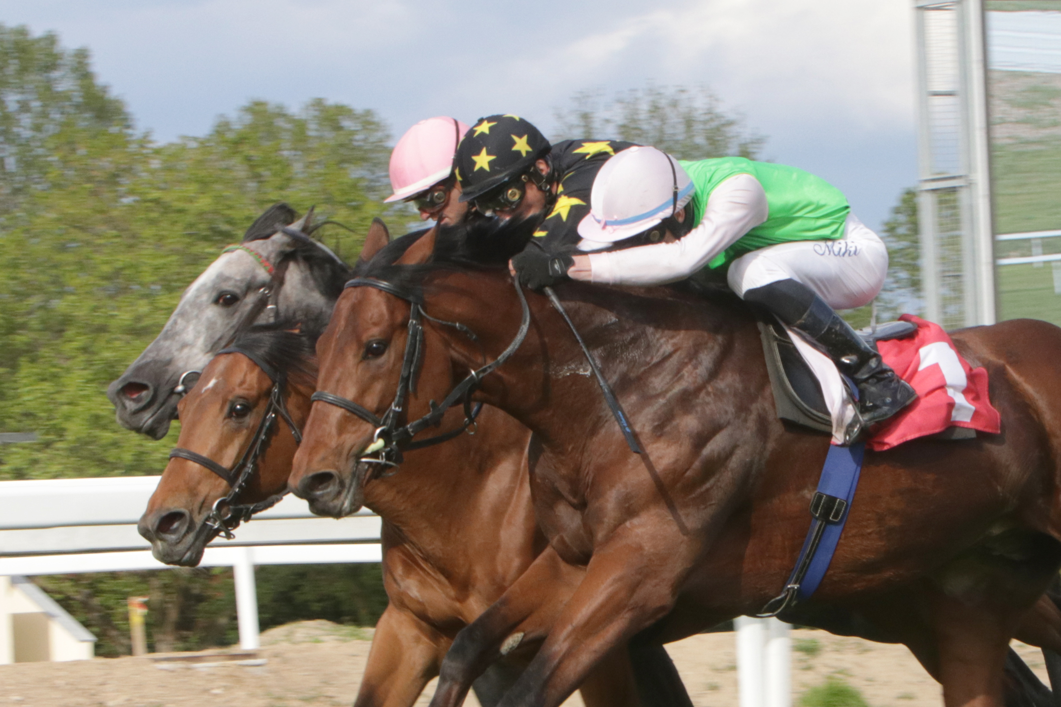 Pronostici di Milano galoppo | Ippodromo Snai San Siro | Corse di ...