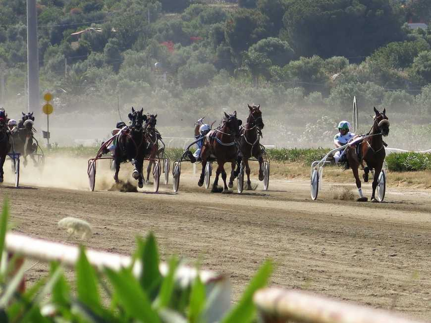 Risultati di Garigliano trotto | Ippodromo SS Cosma e Damiano | martedì ...