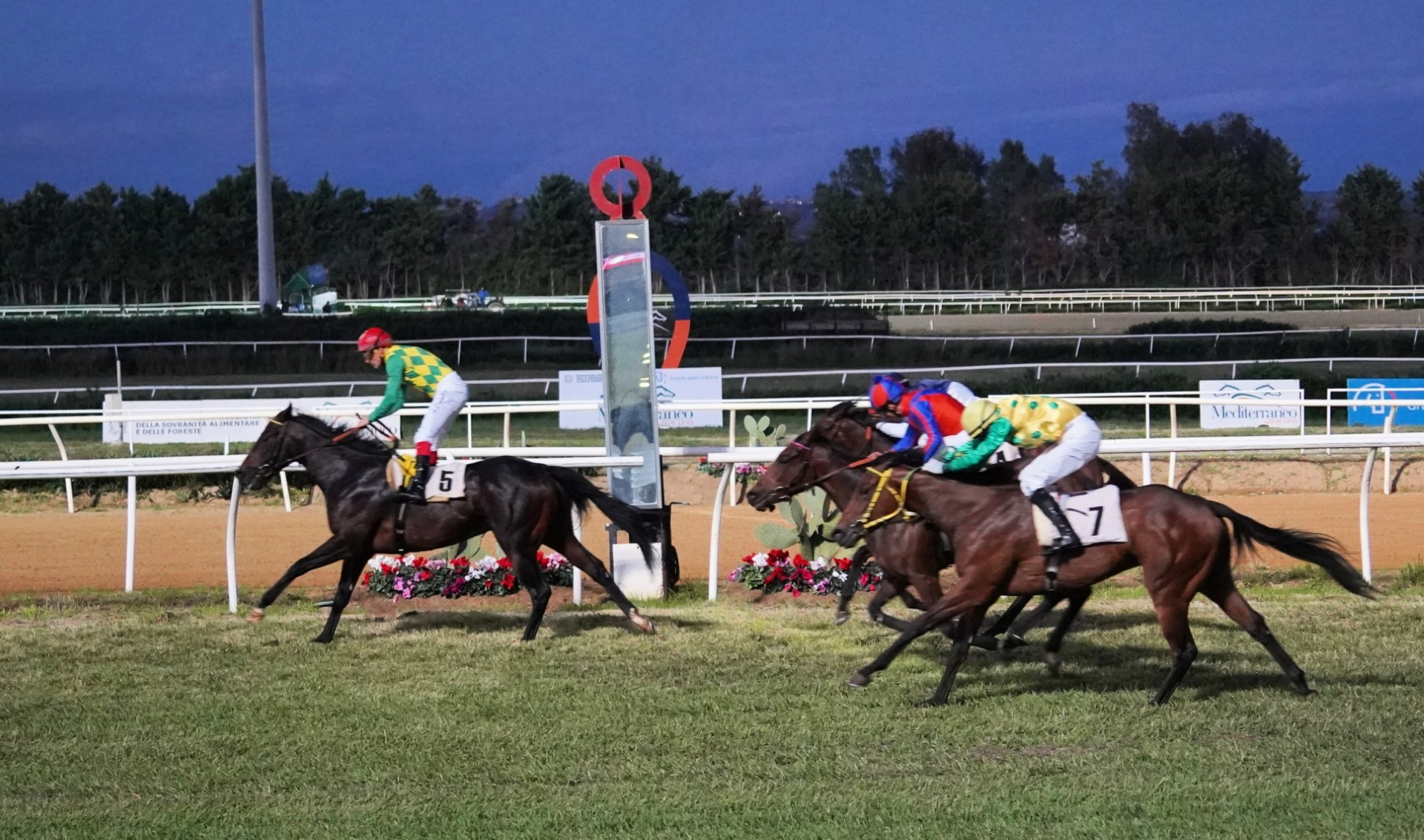 I risultati di Siracusa galoppo | Ippodromo Mediterraneo | Corse di ...